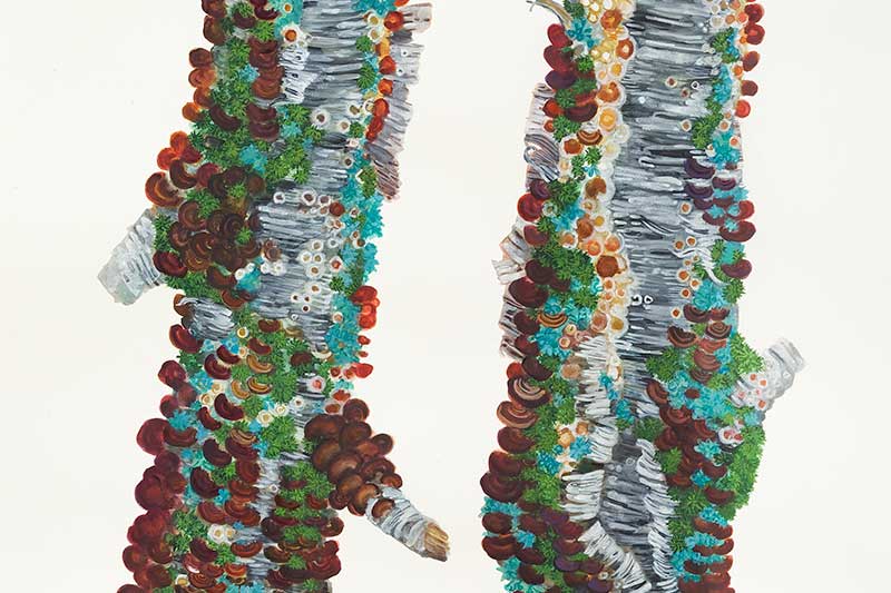 You Know I Know You Know | Katie DeGroot